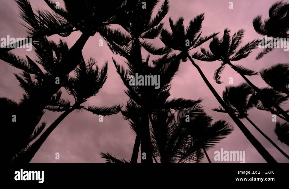 Cyclone landfall Stock Videos & Footage - HD and 4K Video Clips - Alamy