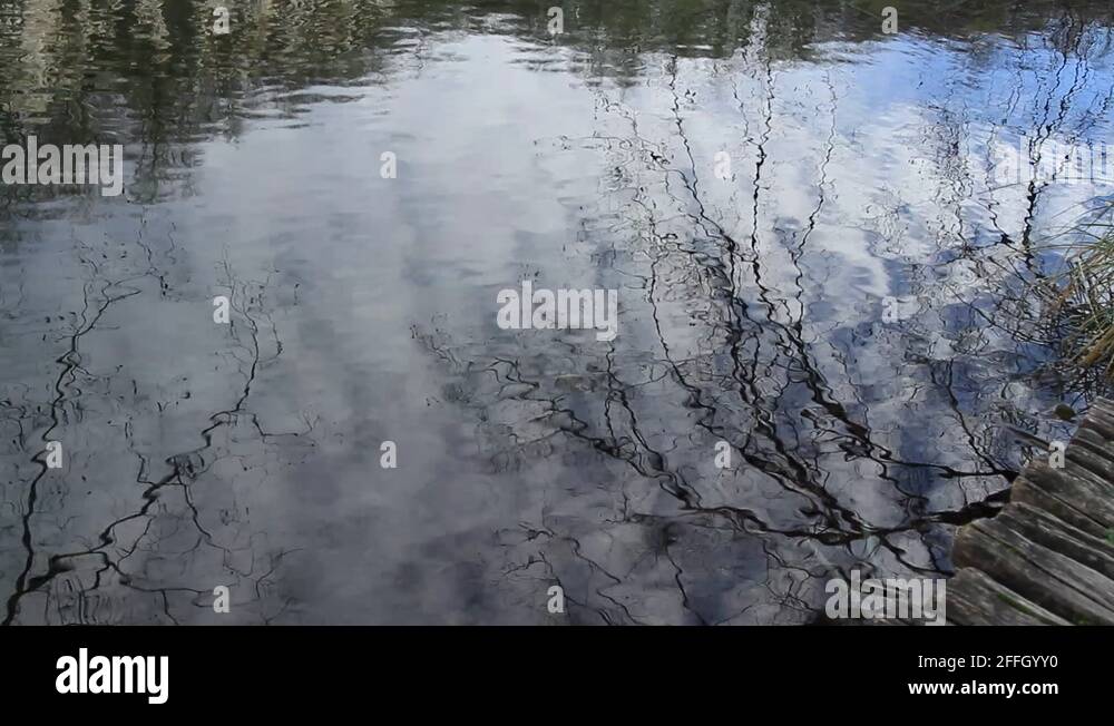 Reflective park landscape Stock Videos & Footage - HD and 4K Video ...