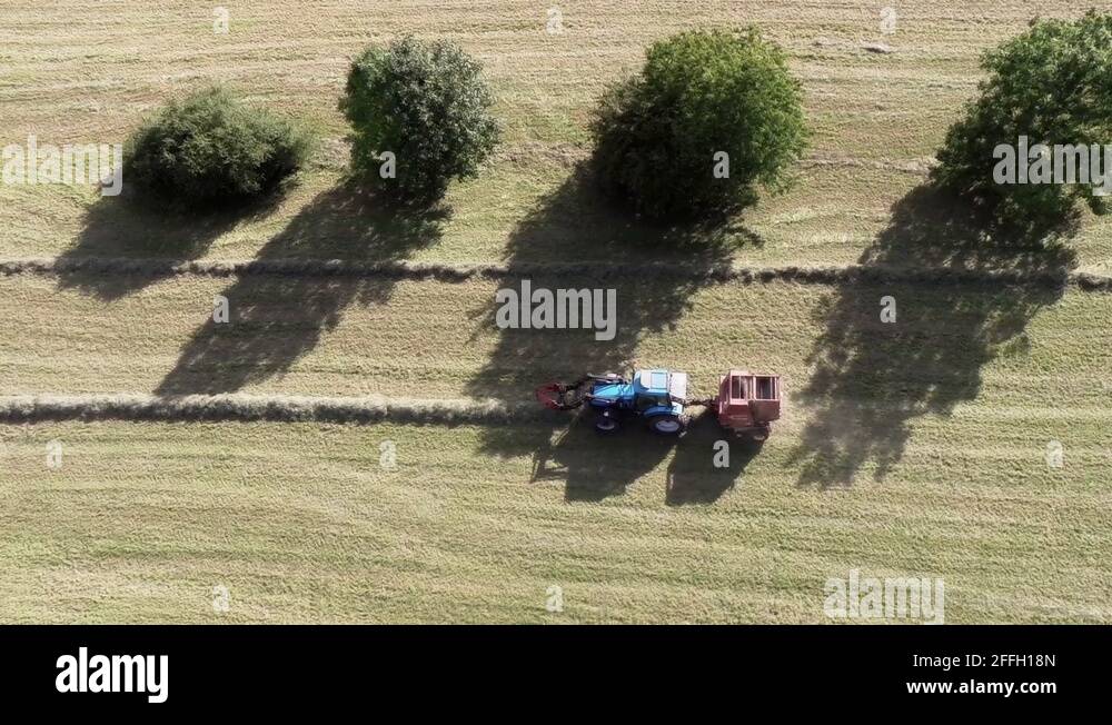 Hay making Stock Videos & Footage - HD and 4K Video Clips - Alamy