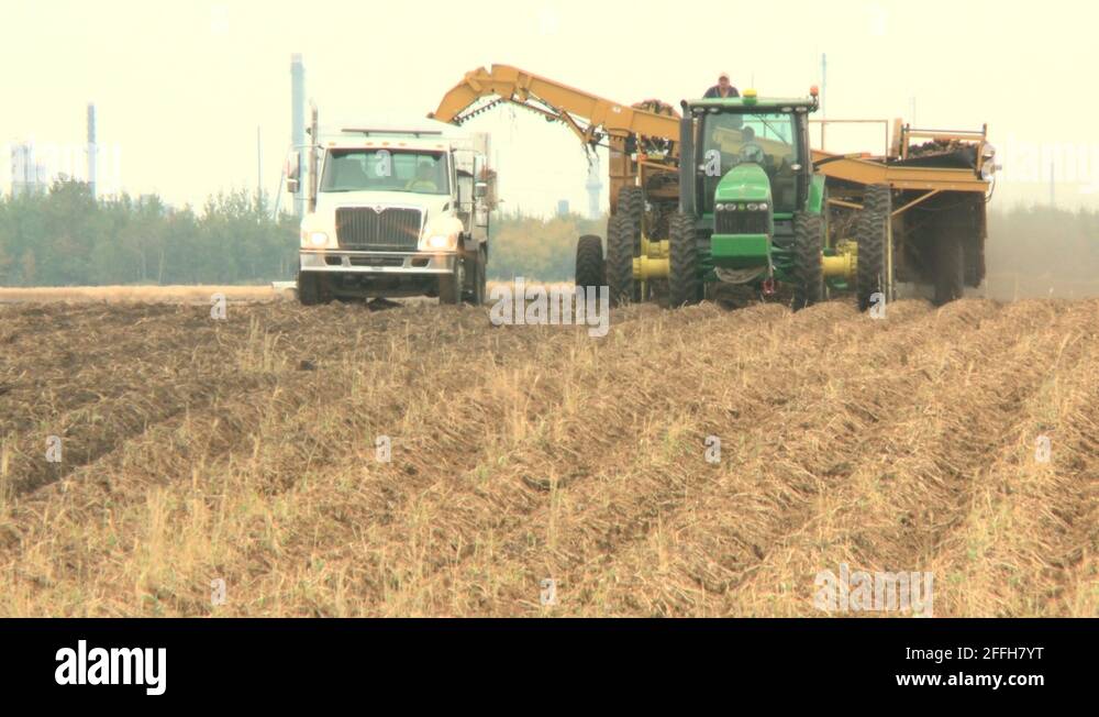 Agriculture potato harvest truck Stock Videos & Footage - HD and 4K ...