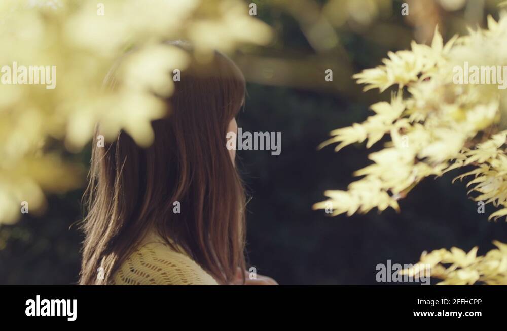 Young girl standing behind tree Stock Videos & Footage - HD and 4K ...