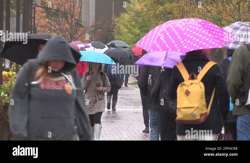 College and university students walking on campus in rain with ...