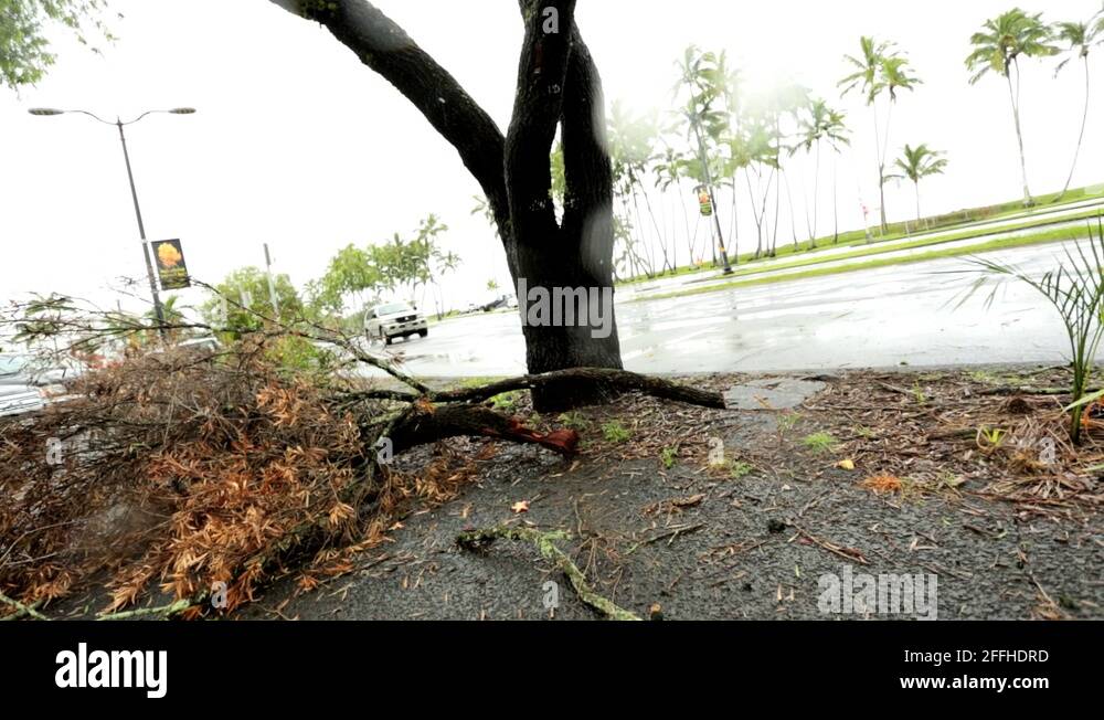 Hilo city Stock Videos & Footage - HD and 4K Video Clips - Alamy