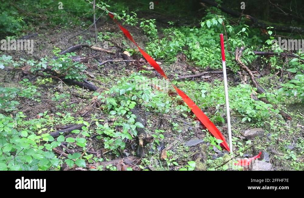 Red tape Stock Videos & Footage - HD and 4K Video Clips - Alamy