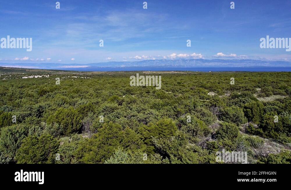 Vegetation islands Stock Videos & Footage - HD and 4K Video Clips - Alamy