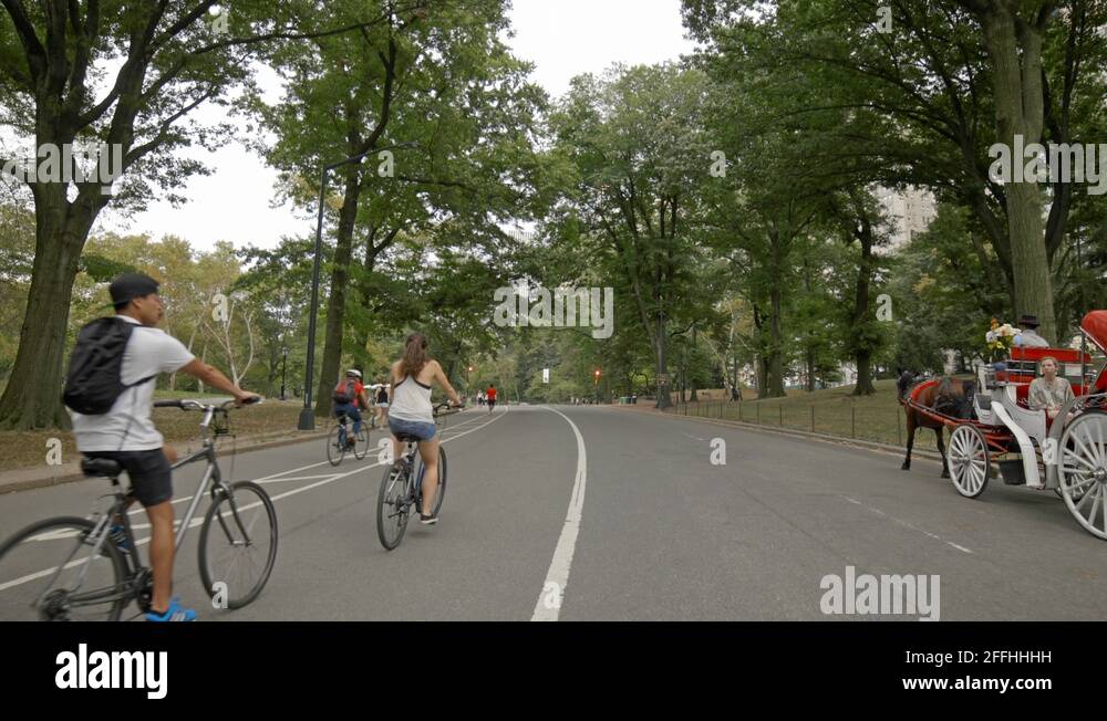 Central Park Horse Carriage Path Bicycles Road Manhattan New York City ...