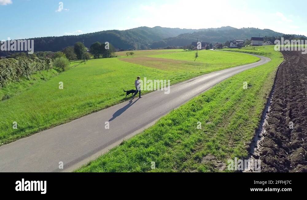 Man walking his dog countryside Stock Videos & Footage - HD and 4K ...