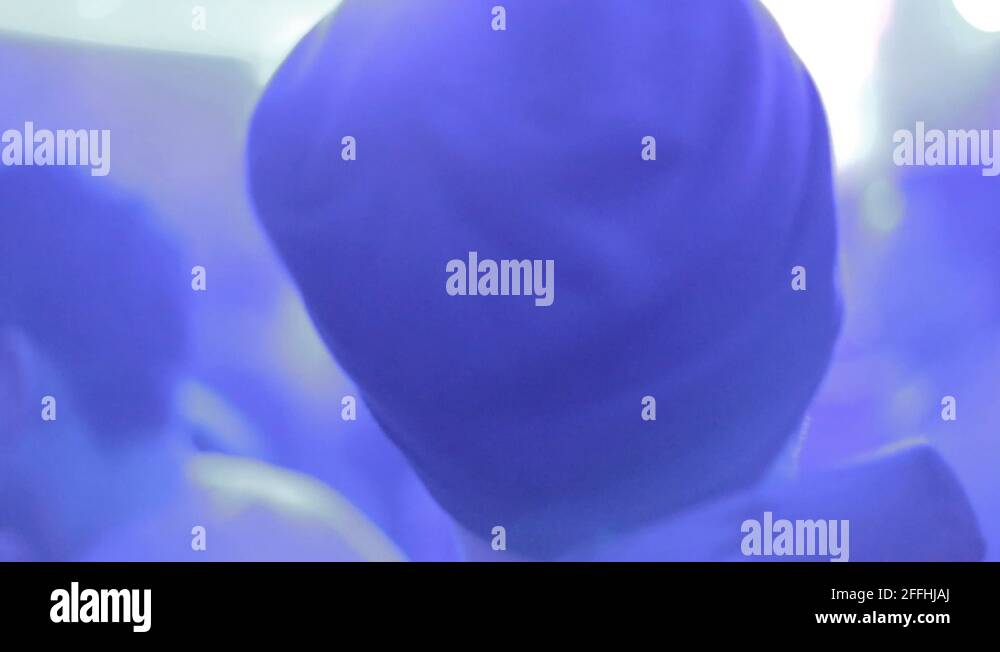 Scene hat Stock Videos & Footage - HD and 4K Video Clips - Alamy