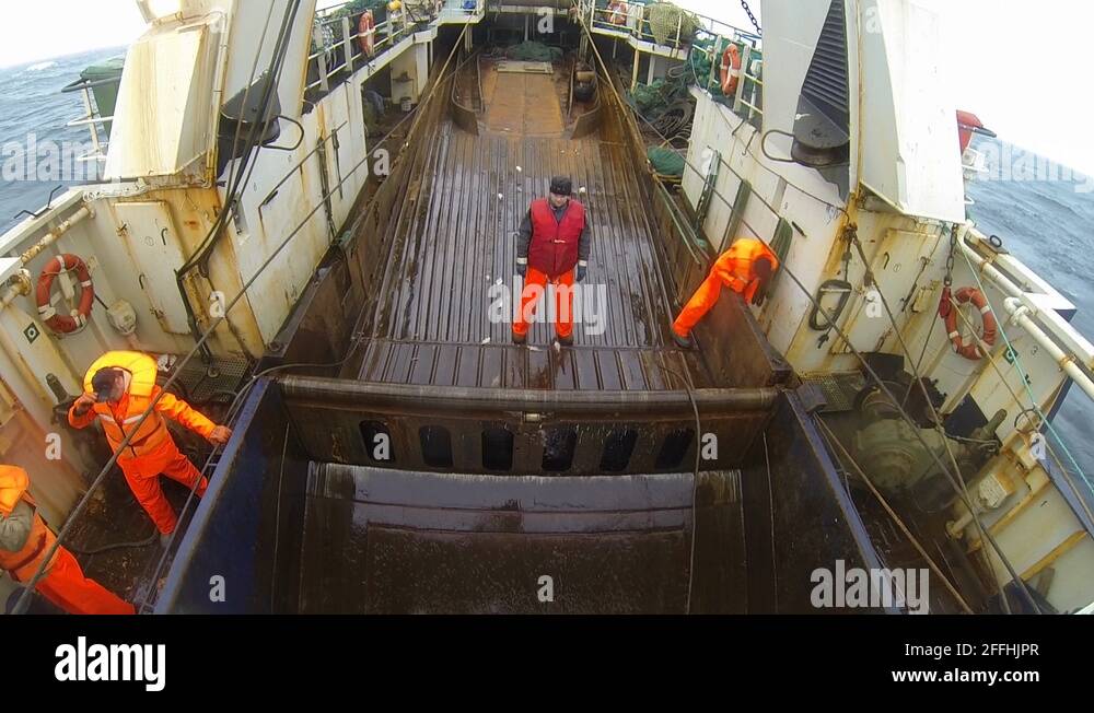 Fish fishermen boat Stock Videos & Footage - HD and 4K Video Clips - Alamy