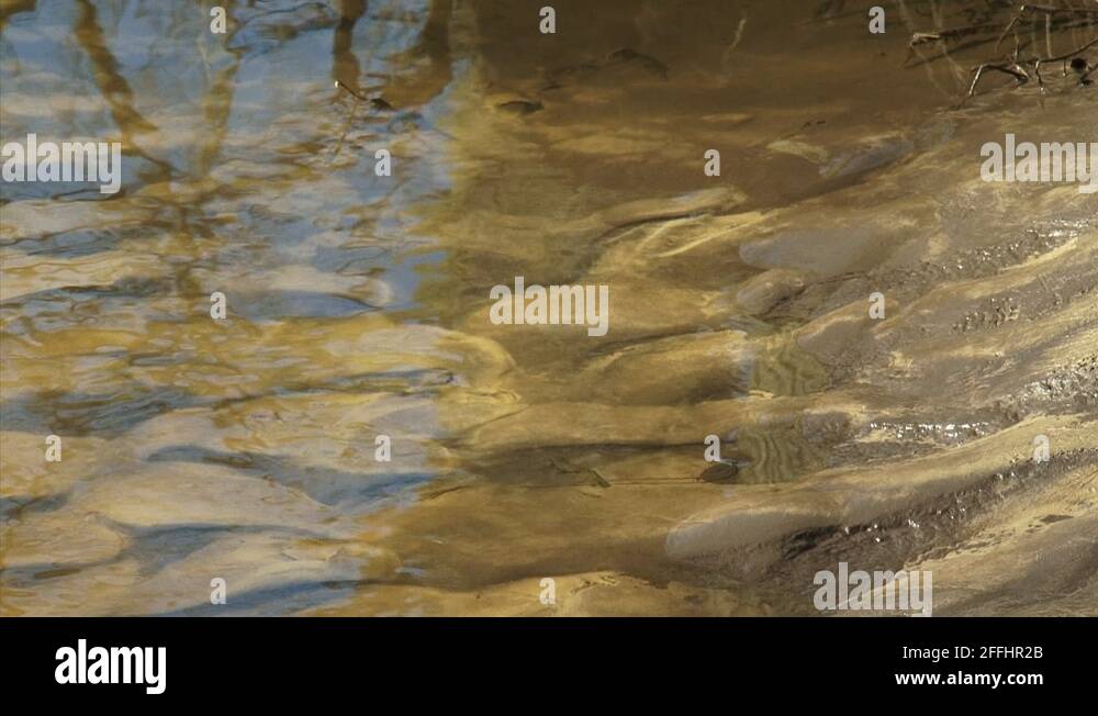 Ripple marks Stock Videos & Footage - HD and 4K Video Clips - Alamy