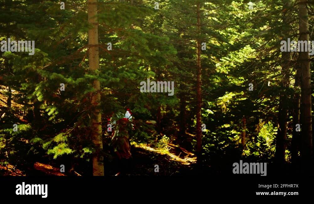 American indian culture group Stock Videos & Footage - HD and 4K Video ...