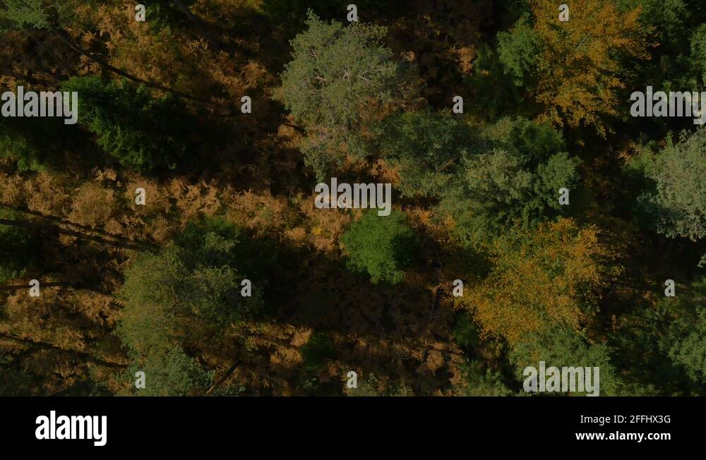 Birds perspective Stock Videos & Footage - HD and 4K Video Clips - Alamy