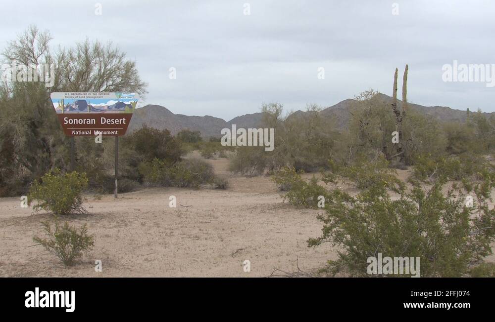 Arizona desert sign Stock Videos & Footage - HD and 4K Video Clips - Alamy