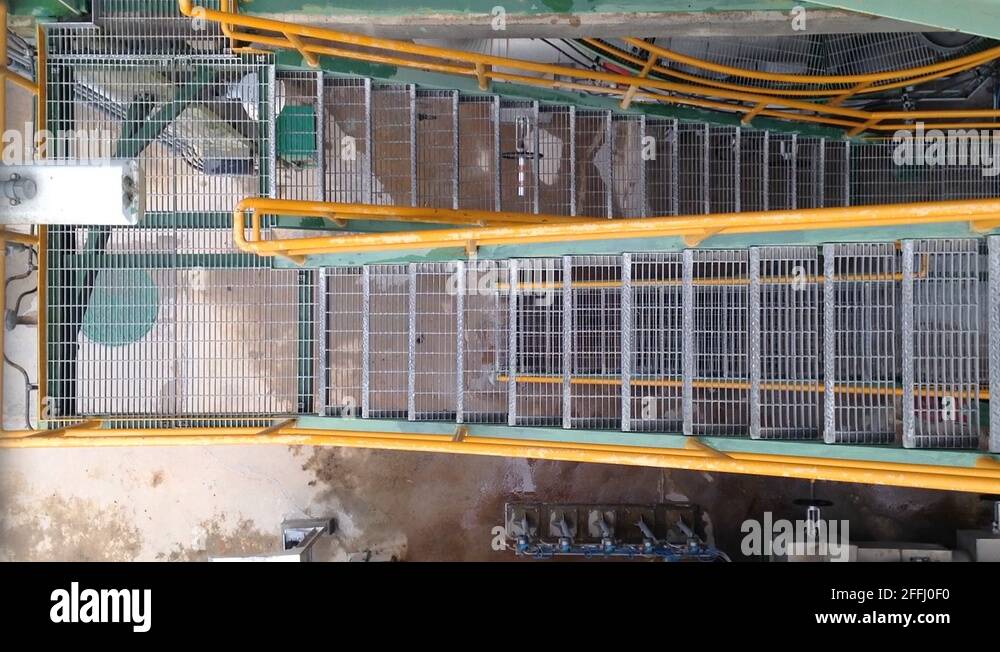 Engineer ladder Stock Videos & Footage - HD and 4K Video Clips - Alamy