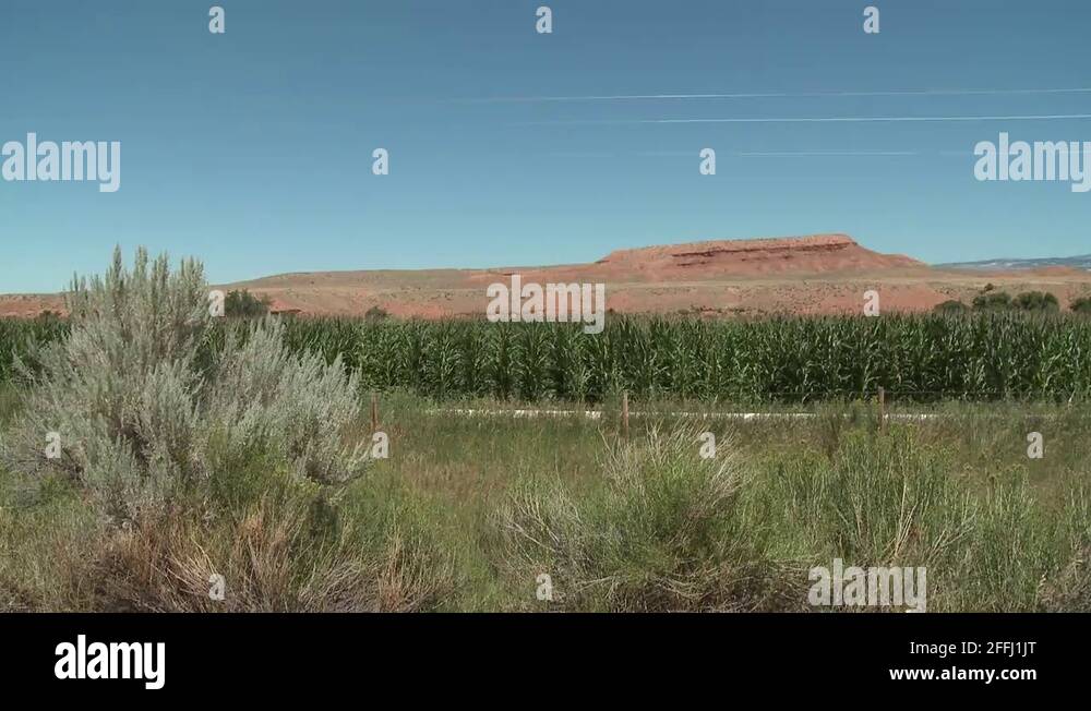 Irrigated cropland Stock Videos & Footage - HD and 4K Video Clips - Alamy
