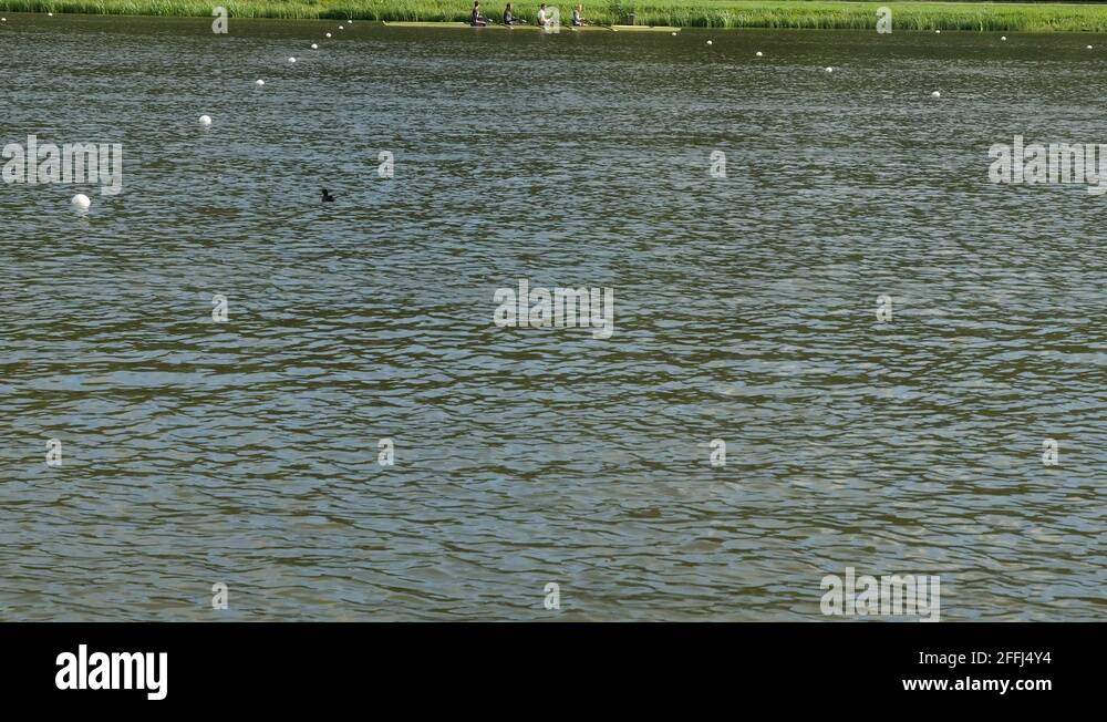 4 person boat Stock Videos & Footage - HD and 4K Video Clips - Alamy