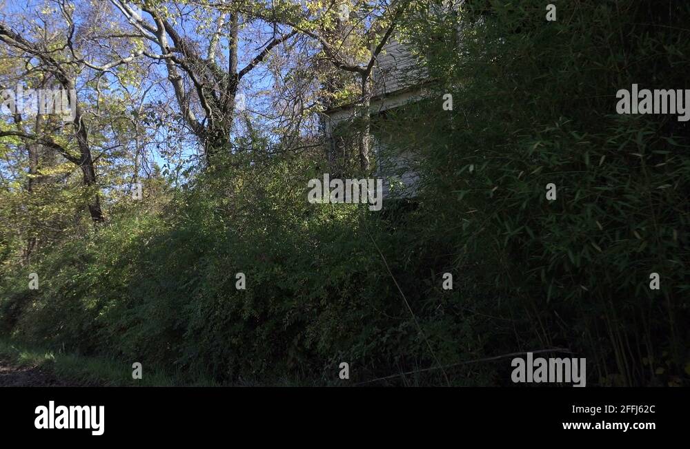 Rundown shack house in woods Stock Videos & Footage - HD and 4K Video ...