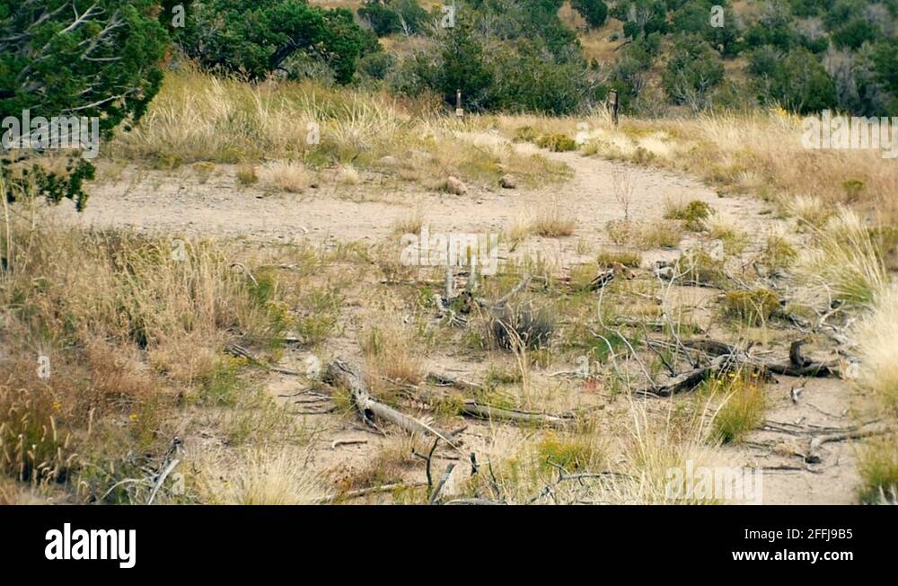 Pathway blocked Stock Videos & Footage - HD and 4K Video Clips - Alamy