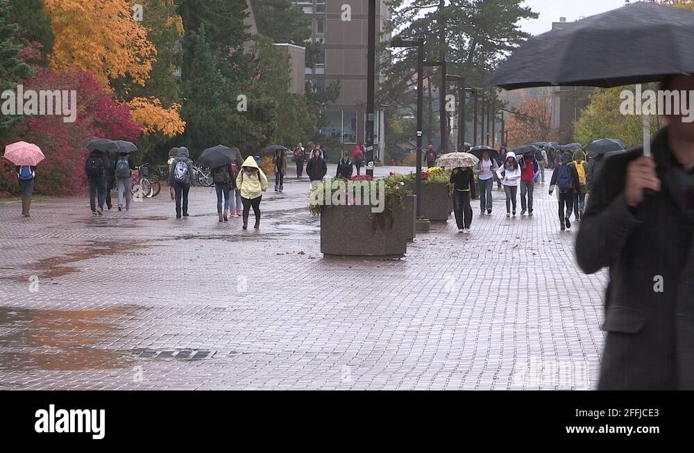 College and university students walking on campus in rain with ...