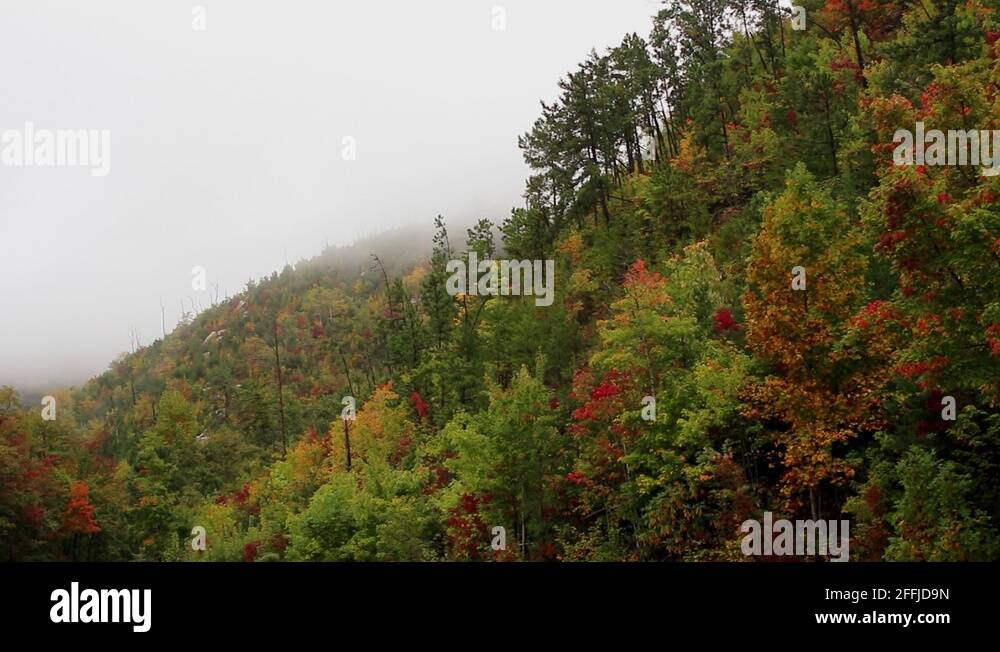 Mountain side ravine Stock Videos & Footage - HD and 4K Video Clips - Alamy