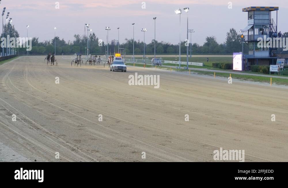 horse race starting line uhd 4k Stock Video Footage - Alamy