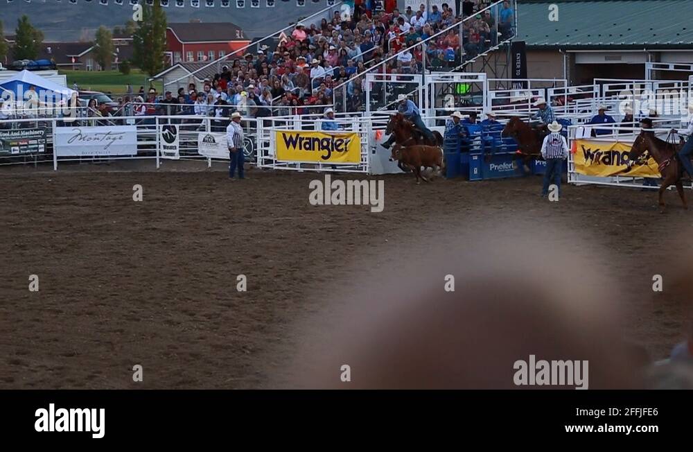 Steer wrestling in rodeo Stock Videos & Footage - HD and 4K Video Clips ...