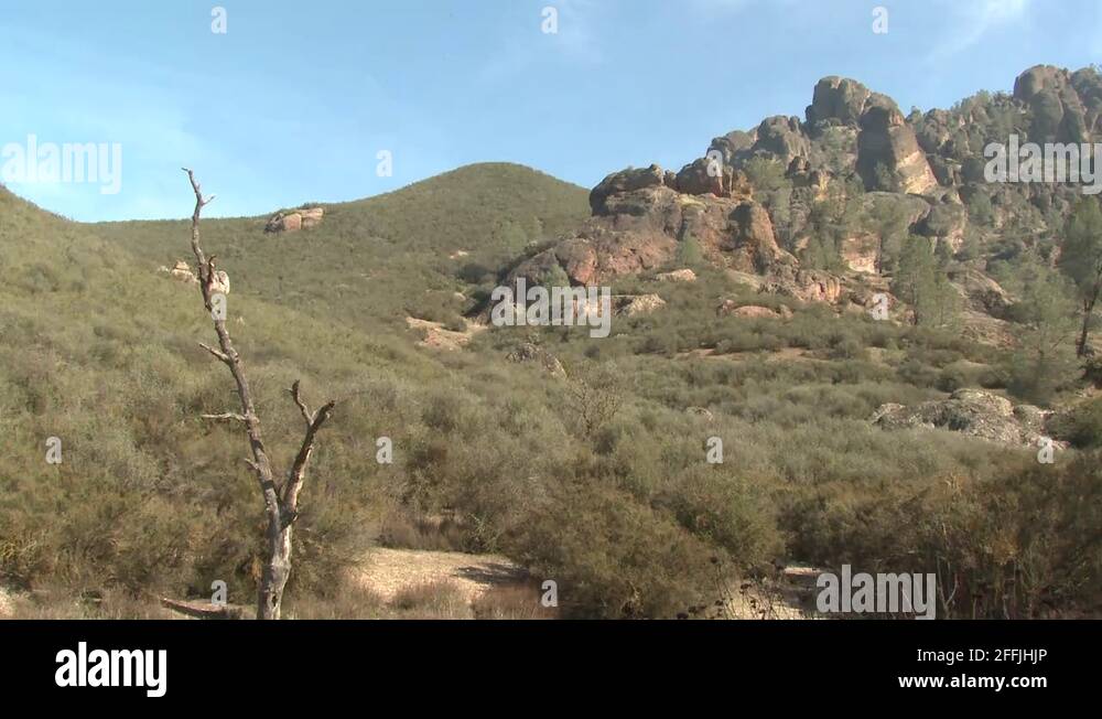 Scrub chaparral Stock Videos & Footage - HD and 4K Video Clips - Alamy