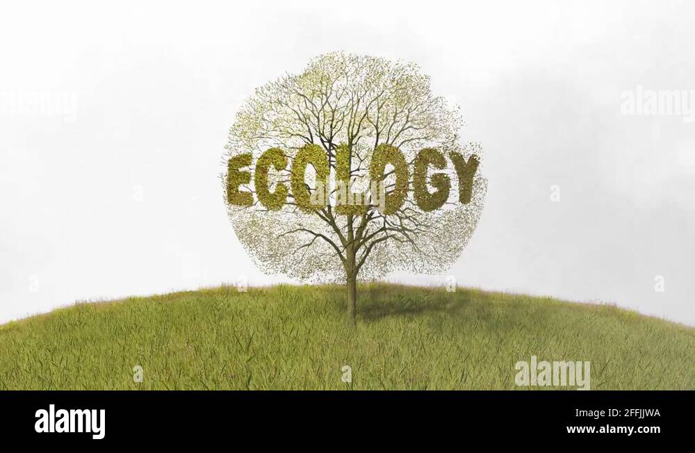 Tree infographic Stock Videos & Footage - HD and 4K Video Clips - Alamy