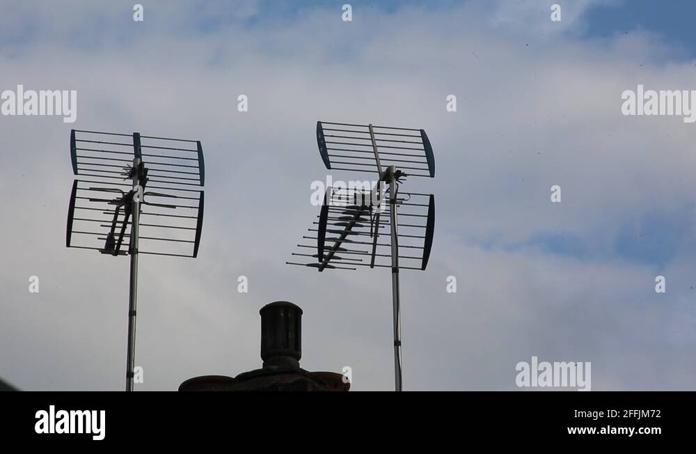 Tv reality programme Stock Videos & Footage - HD and 4K Video Clips - Alamy
