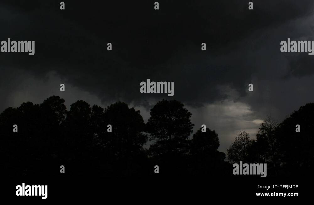 Storm forest Stock Videos & Footage - HD and 4K Video Clips - Alamy