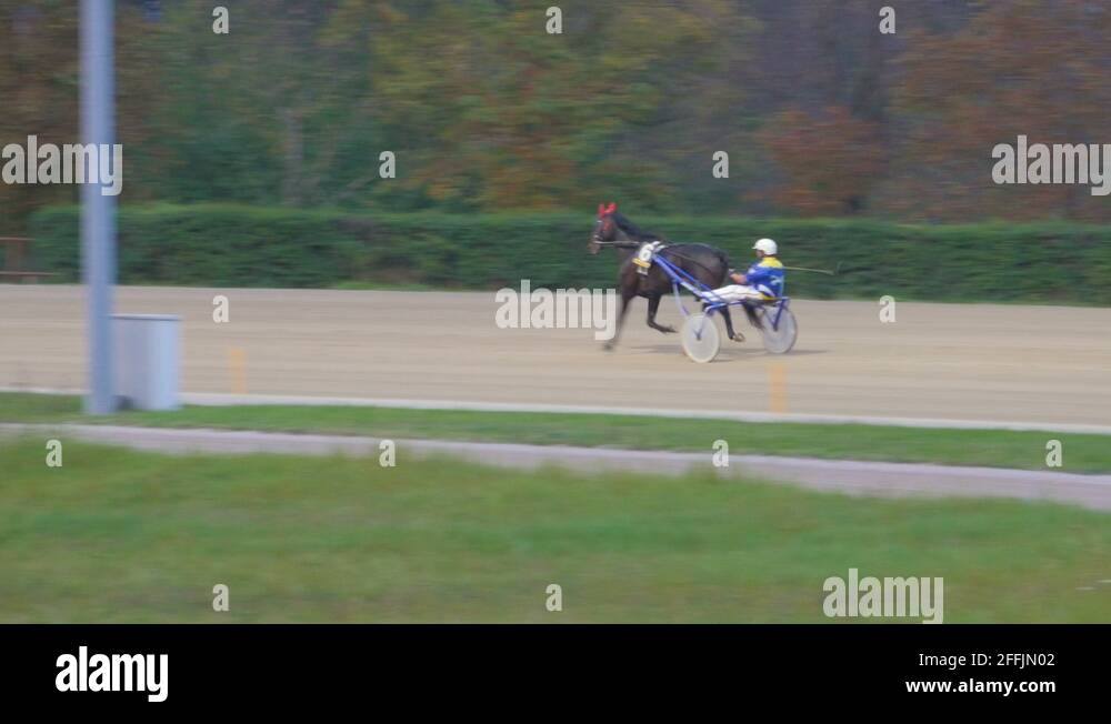 Jockey action Stock Videos & Footage - HD and 4K Video Clips - Alamy