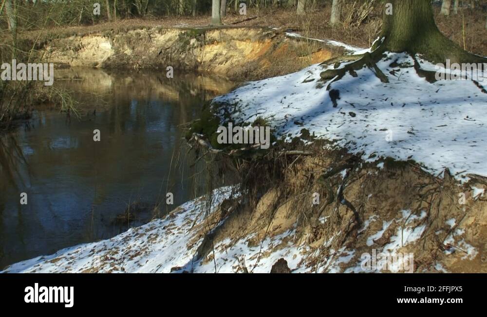 River bank tree roots Stock Videos & Footage - HD and 4K Video Clips ...