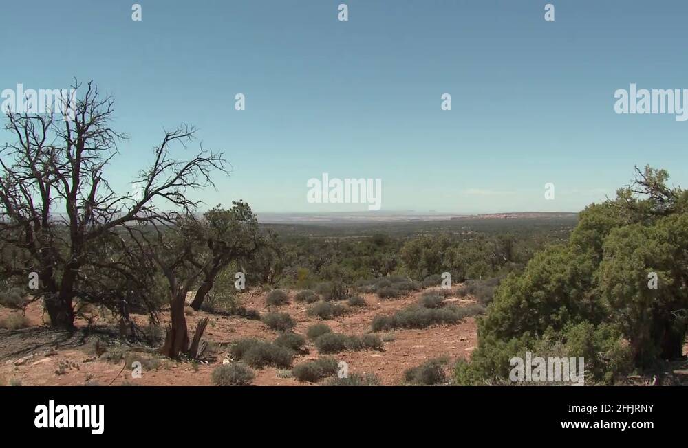 Arid shrubland Stock Videos & Footage - HD and 4K Video Clips - Alamy