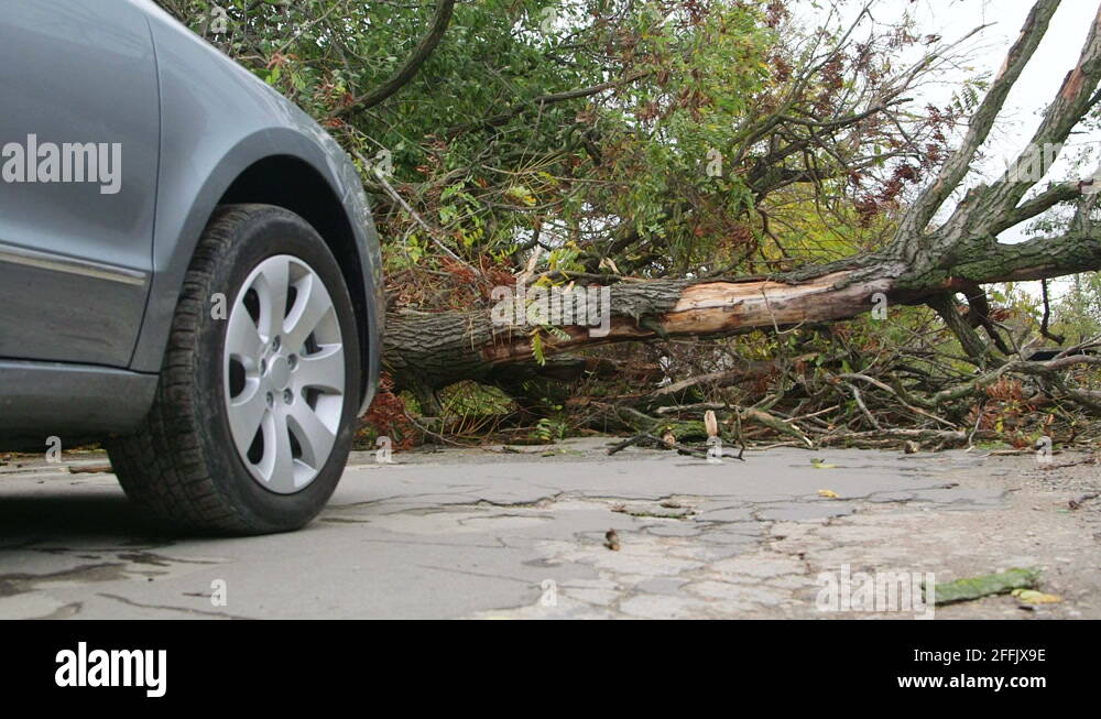 Obstructed road Stock Videos & Footage - HD and 4K Video Clips - Alamy