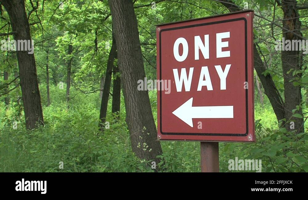 One Stock Videos & Footage - HD and 4K Video Clips - Alamy