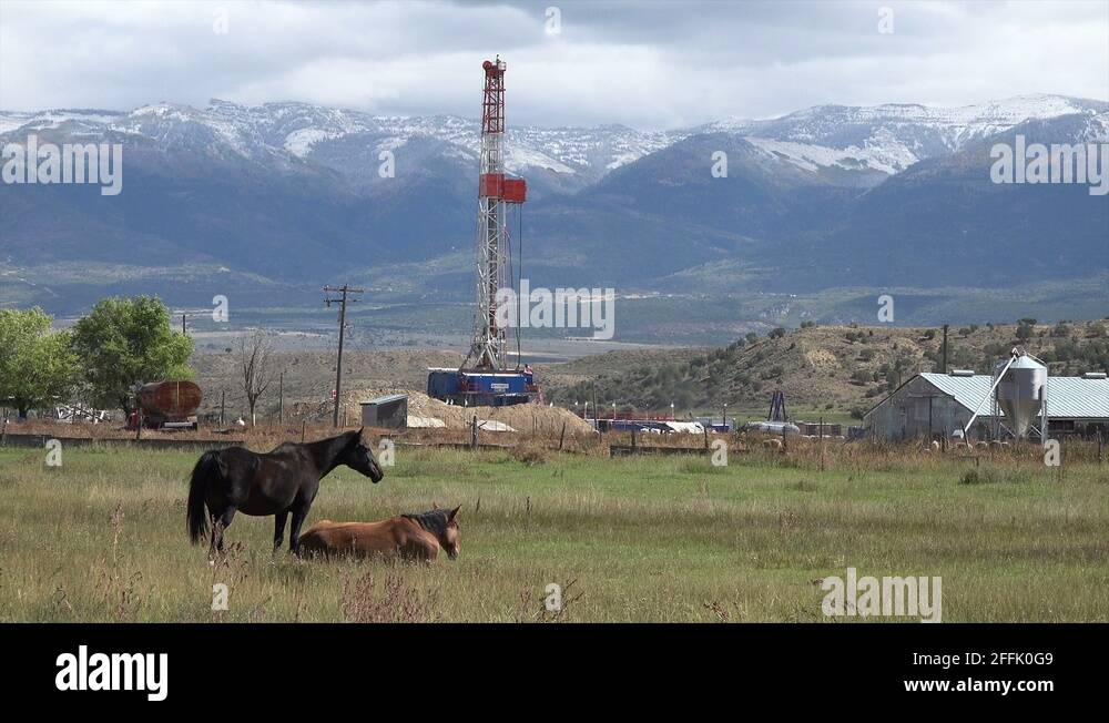 Mining horse Stock Videos & Footage - HD and 4K Video Clips - Alamy