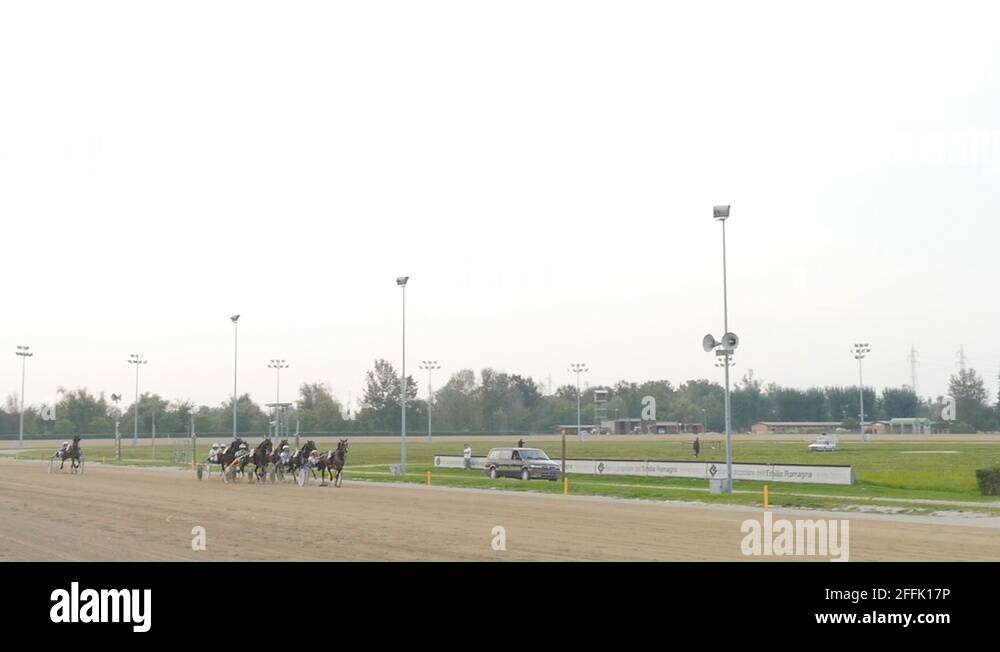 Horse race final rush Stock Videos & Footage - HD and 4K Video Clips ...