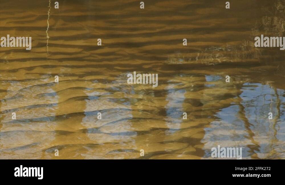 River sand deposit Stock Videos & Footage - HD and 4K Video Clips - Alamy