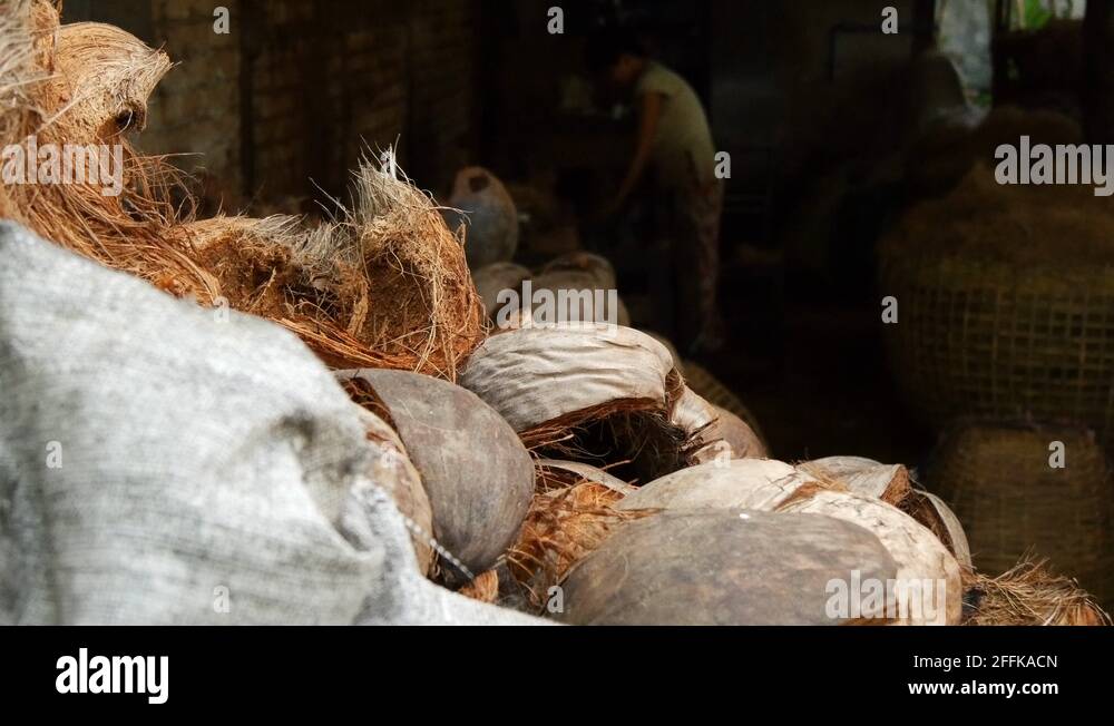 Making rope from coconut fiber in Pathein, Myanmar, Burma Stock Video ...