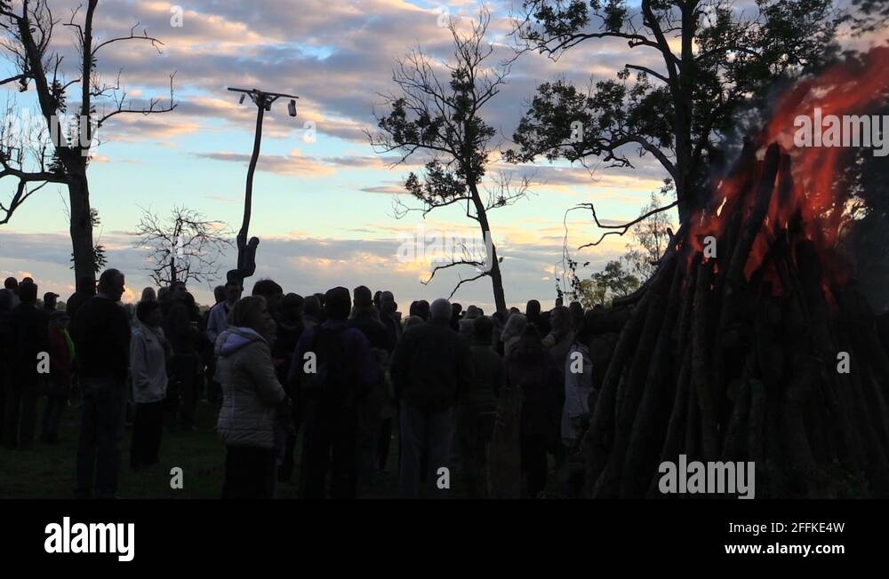 Log pole Stock Videos & Footage - HD and 4K Video Clips - Alamy