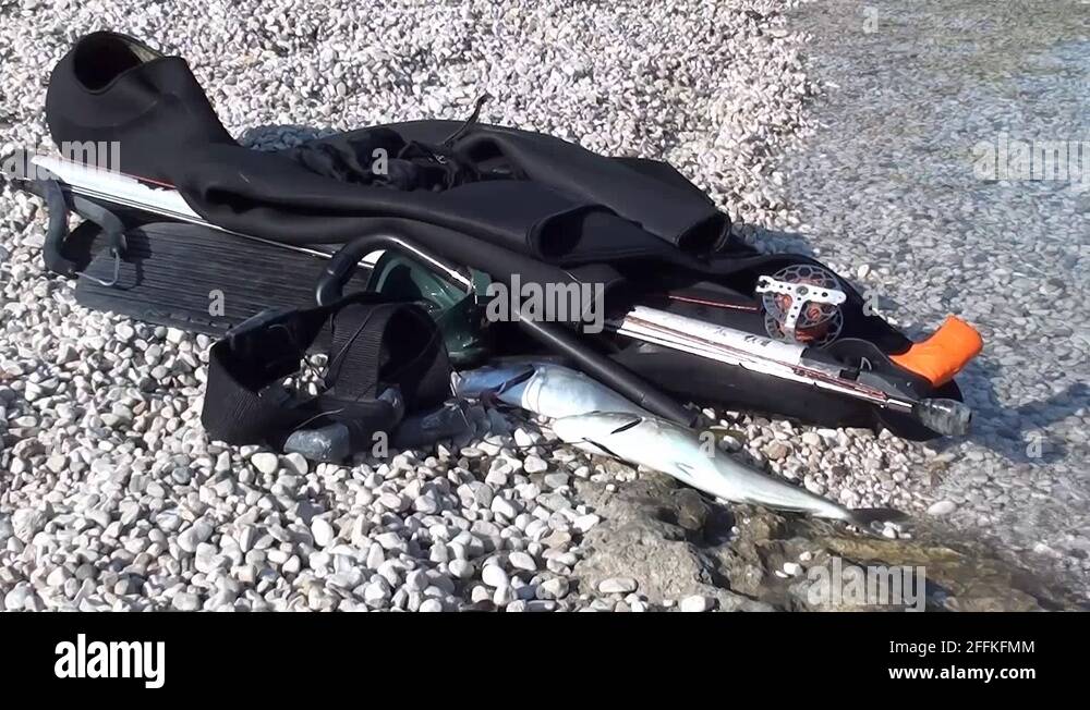 Catch device Stock Videos & Footage - HD and 4K Video Clips - Alamy