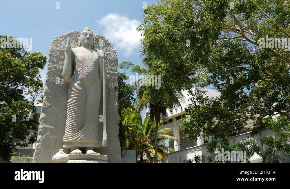 Sri lanka colombo buddha statue Stock Videos & Footage - HD and 4K ...