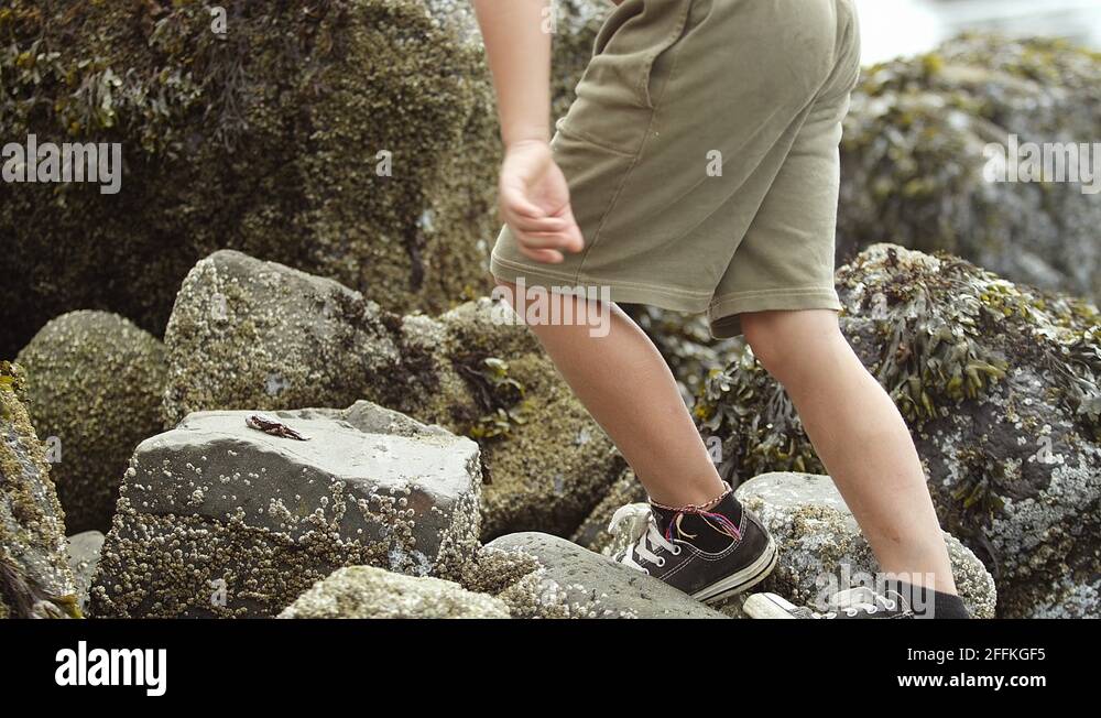 Boy on the rocks Stock Videos & Footage - HD and 4K Video Clips - Alamy