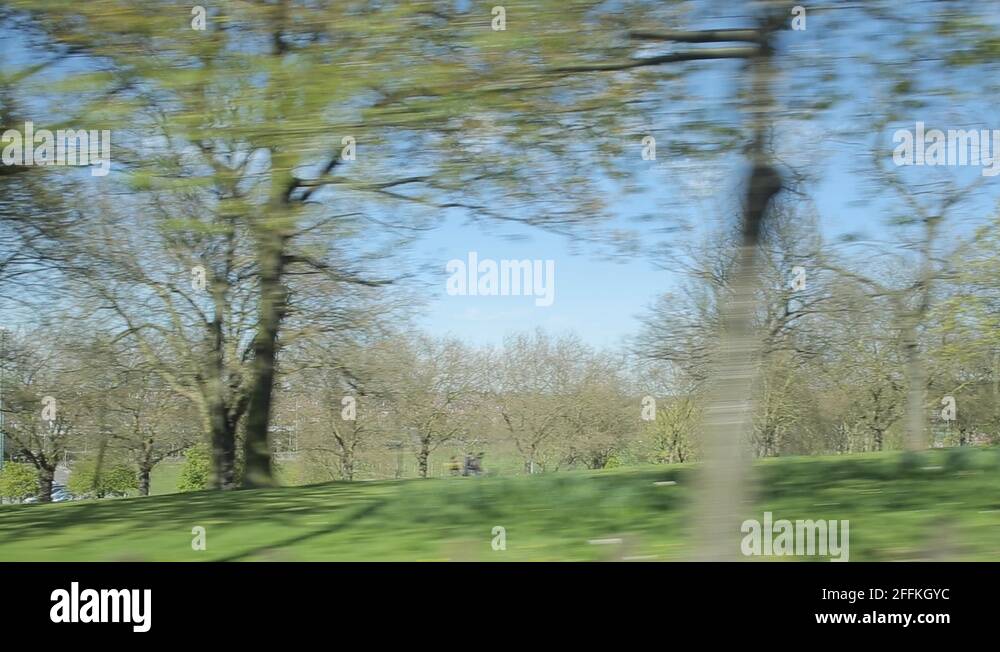 Nottingham forest at Stock Videos & Footage - HD and 4K Video Clips - Alamy