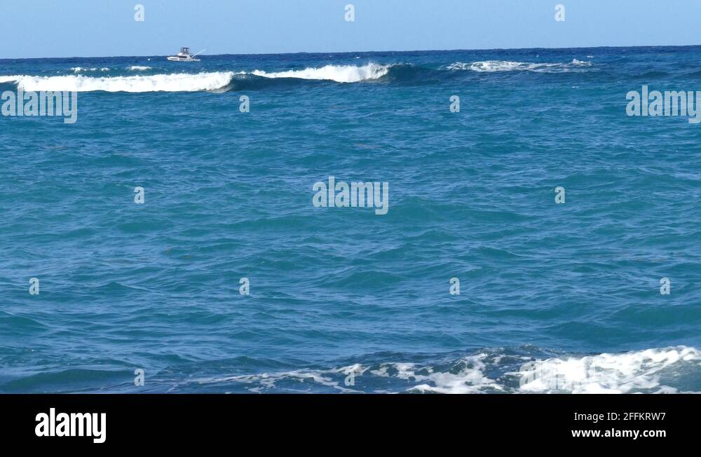 Caribbean waves Stock Videos & Footage - HD and 4K Video Clips - Alamy