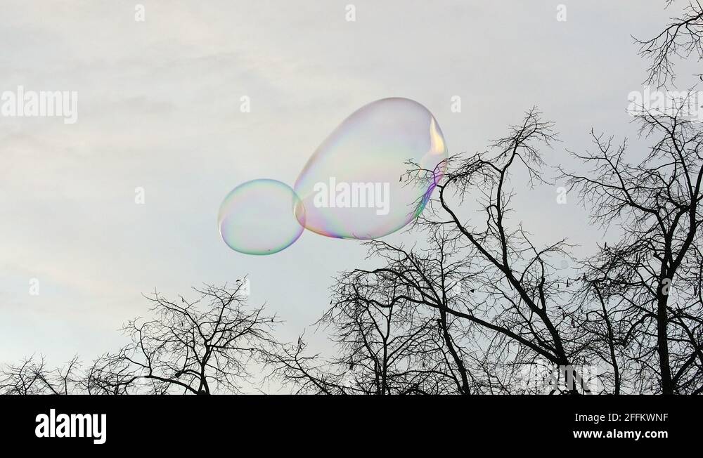 Bubble illusion Stock Videos & Footage - HD and 4K Video Clips - Alamy