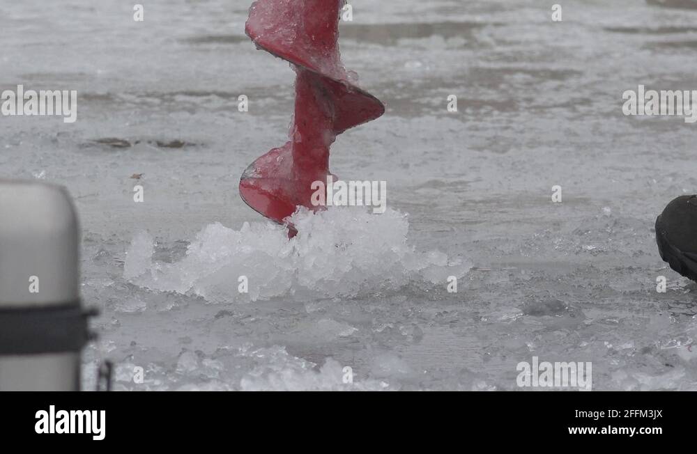 Fish big ruff on ice of river in winter brace 4k Stock Video Footage ...