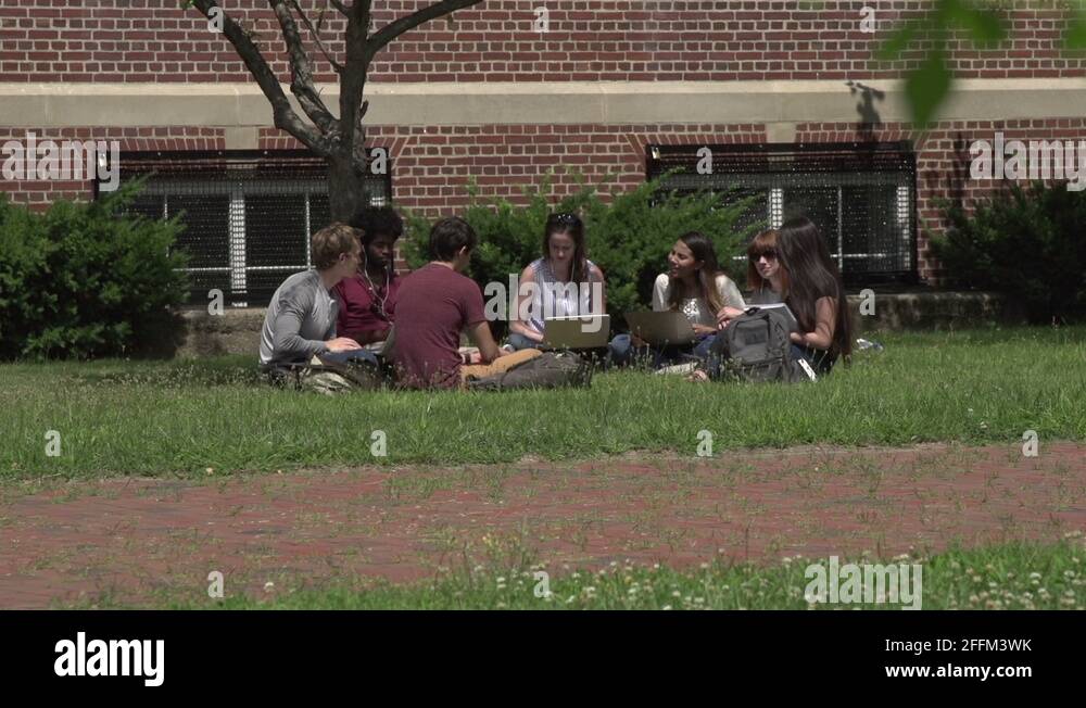 Girl sitting under tree studying Stock Videos & Footage - HD and 4K ...