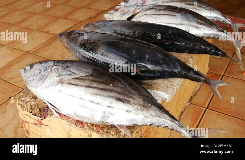 Negombo food market Stock Videos & Footage - HD and 4K Video Clips - Alamy