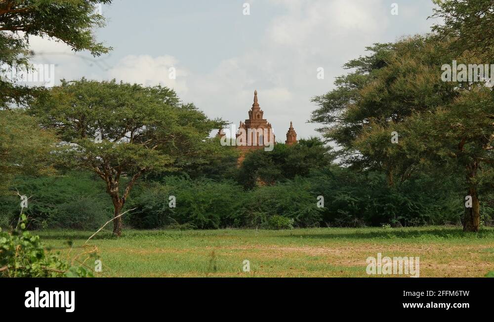 Burma myanmar forest Stock Videos & Footage - HD and 4K Video Clips - Alamy